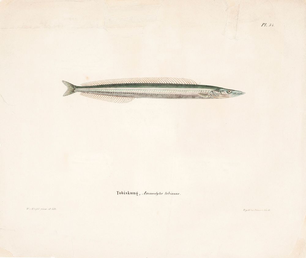 133032 Images | Free Photos, PNG Stickers, Wallpapers & Backgrounds ...