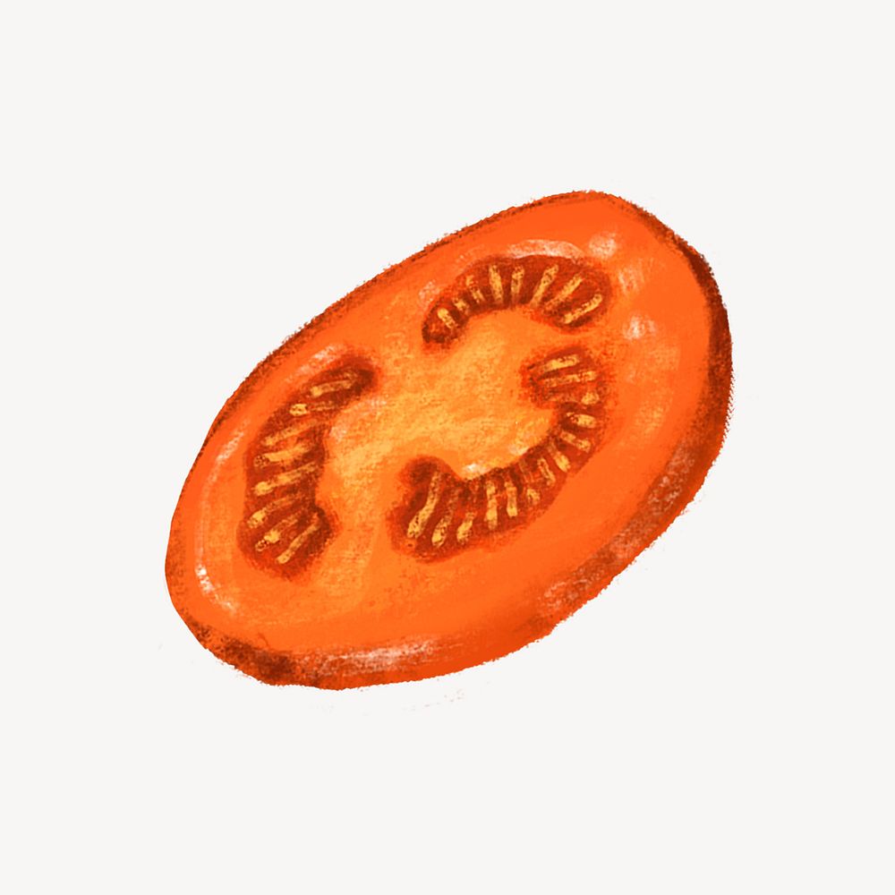 Tomato slice illustration, food design | Premium Photo Illustration ...