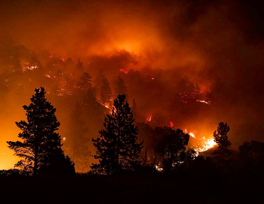 Harris Fire. Harris Fire burned | Free Photo - rawpixel