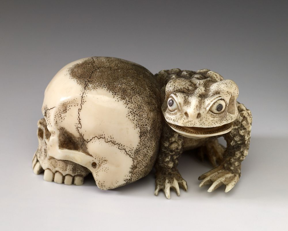 Skull Toad (early-mid 19th century | Free Photo - rawpixel