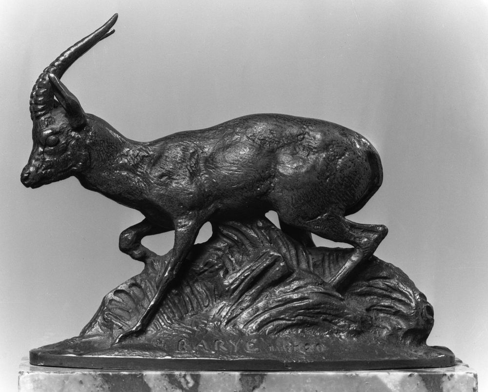Gazelle Ethiopia (19th century) Antoine | Free Photo - rawpixel