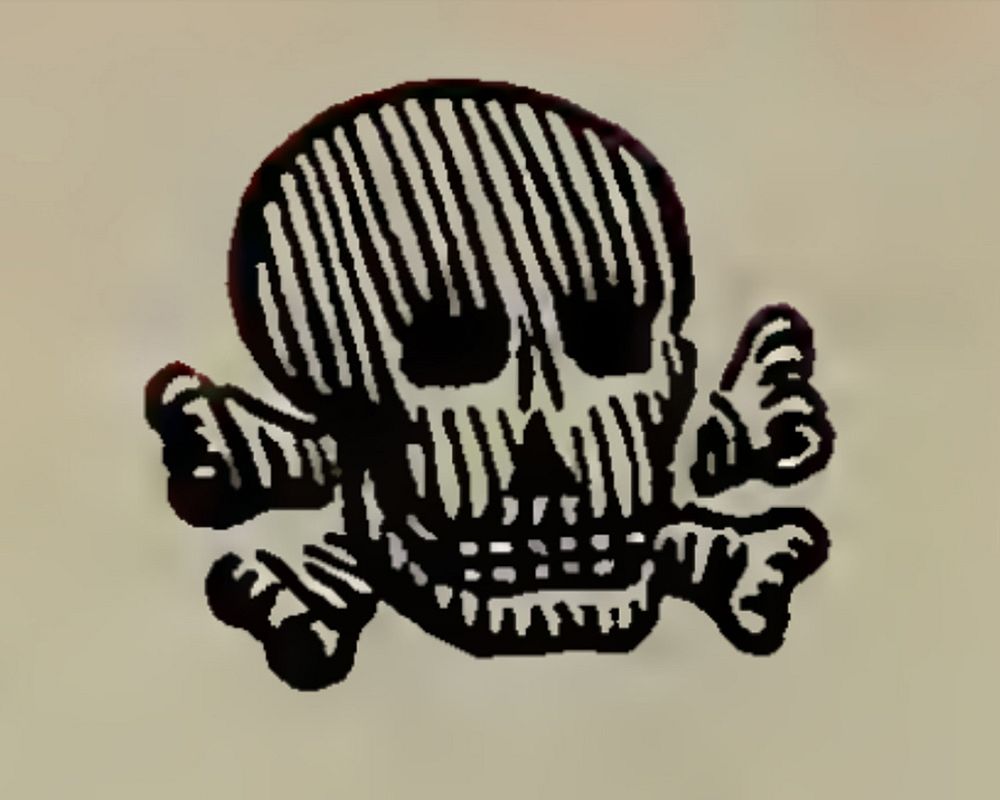 Drawing Skull US Army Report | Free Photo Illustration - rawpixel