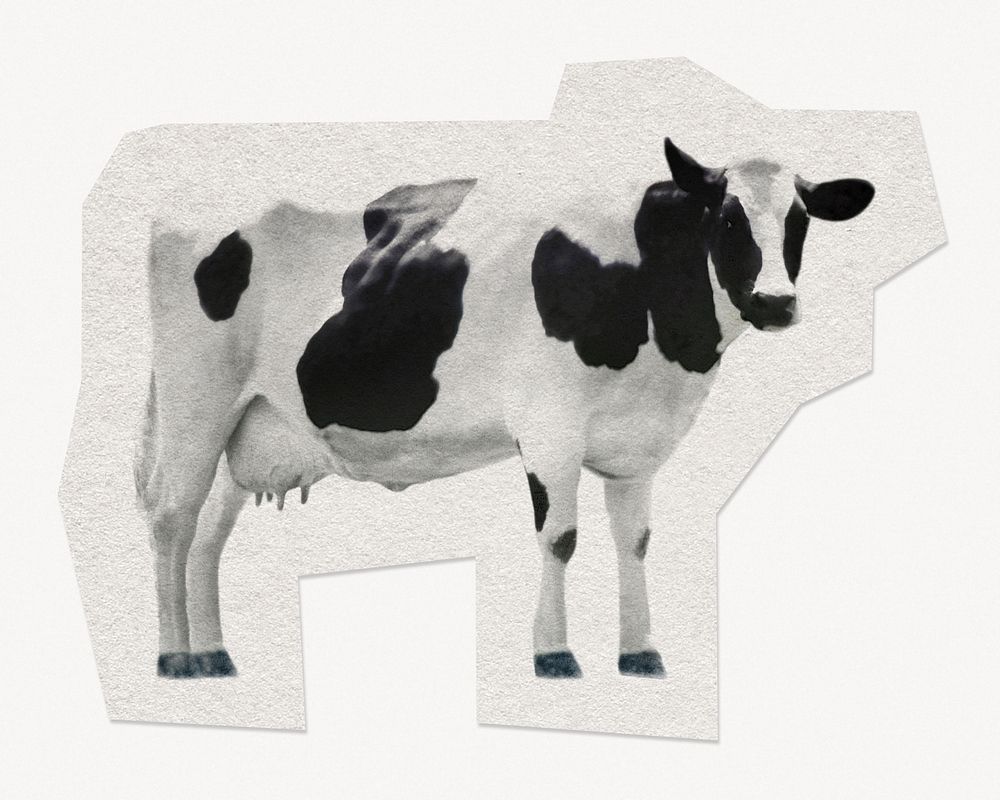 Cow paper cut isolated design | Free Photo - rawpixel