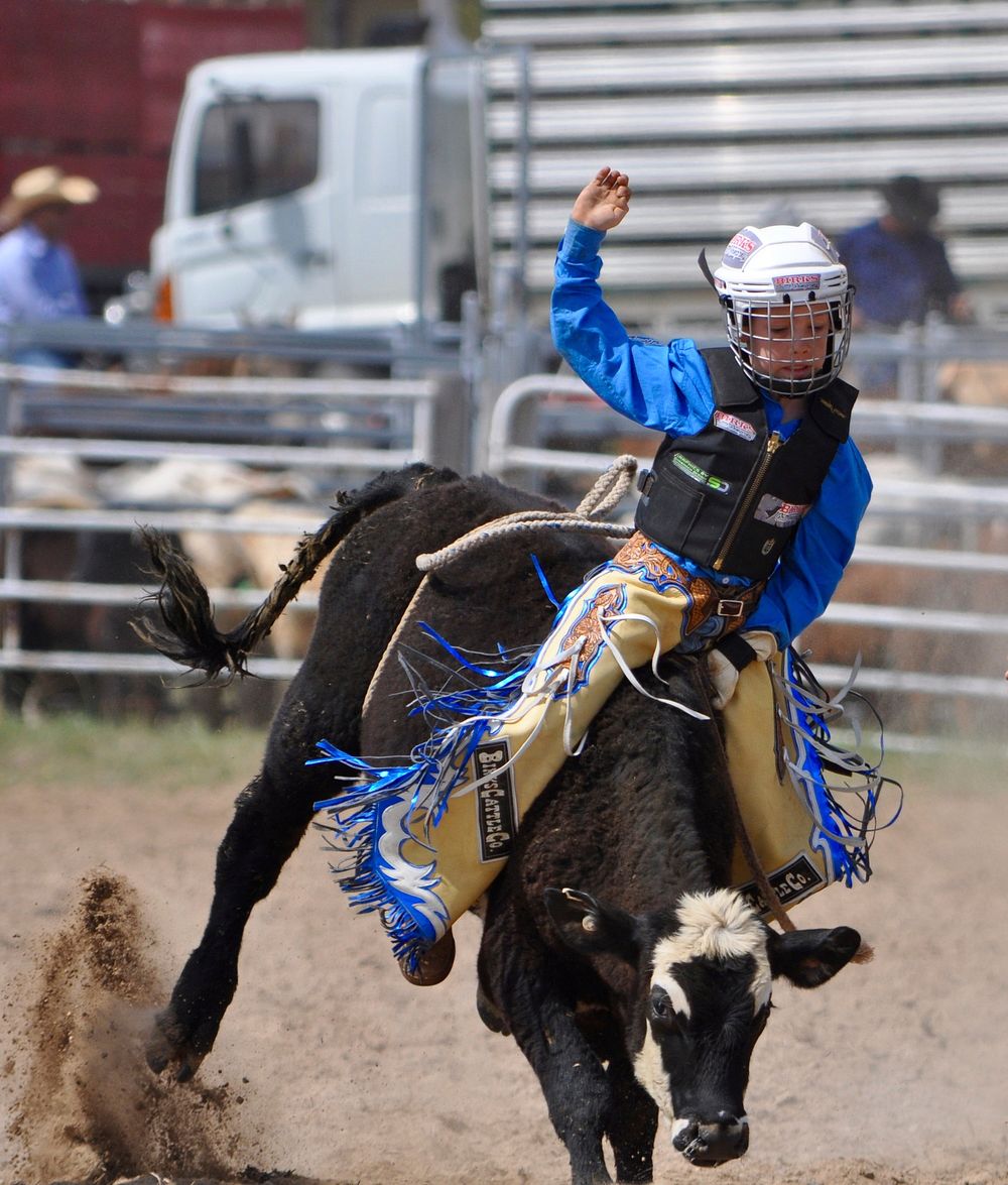 Kid on calf, Bungendore Rodeo, | Free Photo - rawpixel