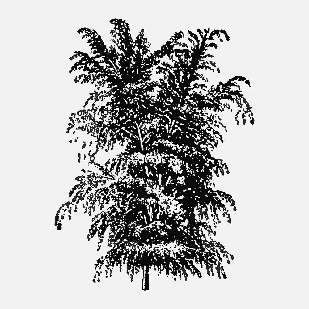 Tree sticker, vintage illustration vector, | Premium Vector ...