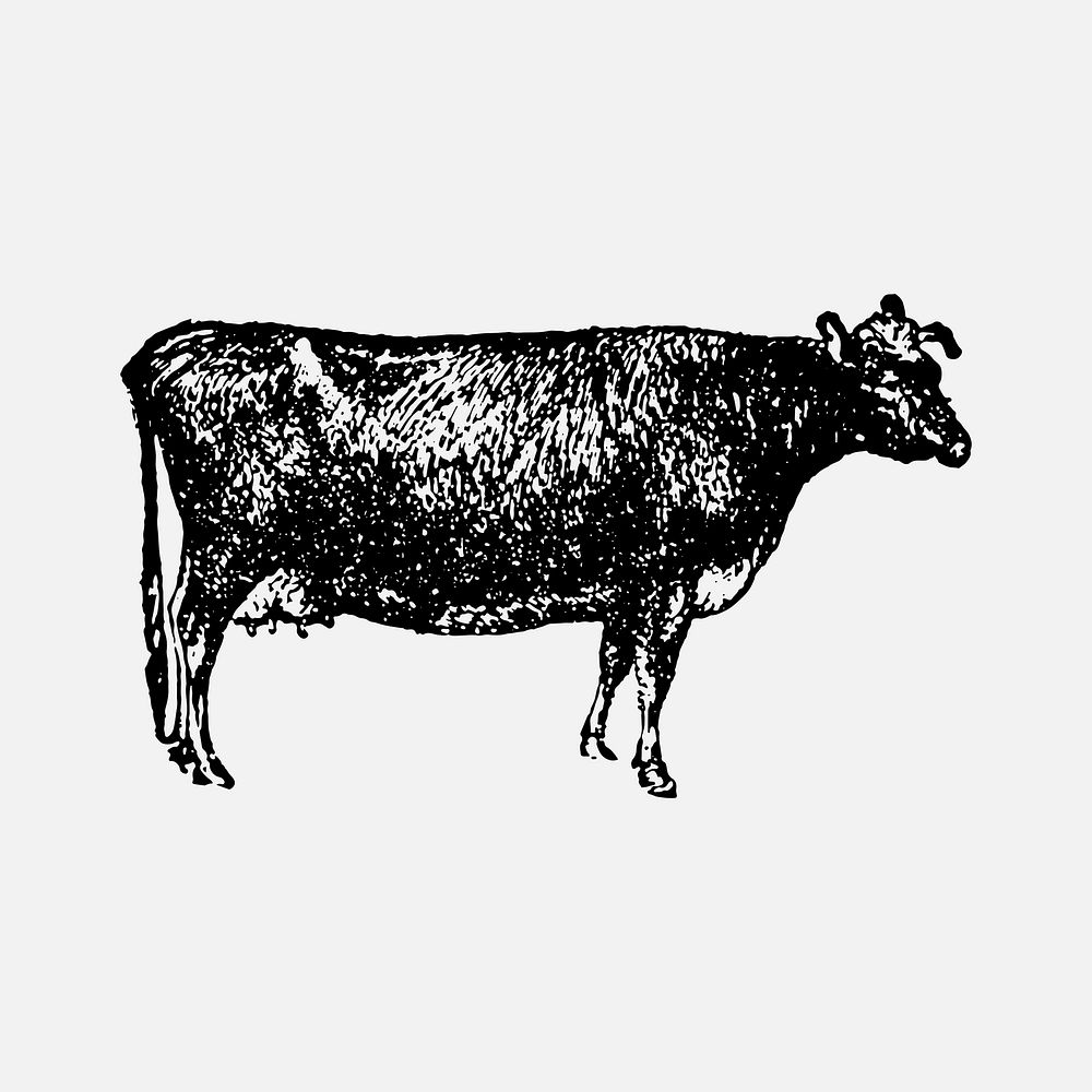 Cow collage element, black ink | Premium Vector Illustration - rawpixel