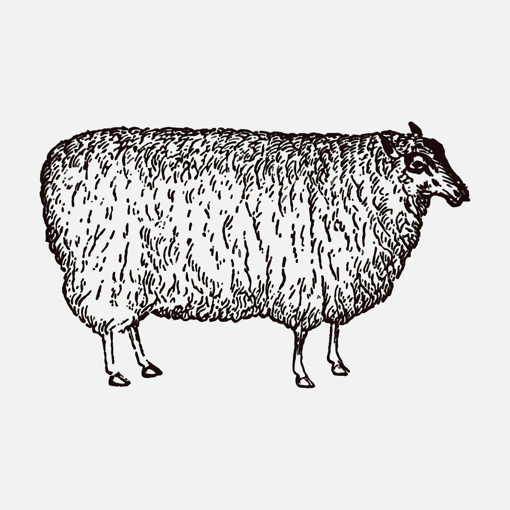 Sheep collage element, black ink | Premium Vector Illustration - rawpixel