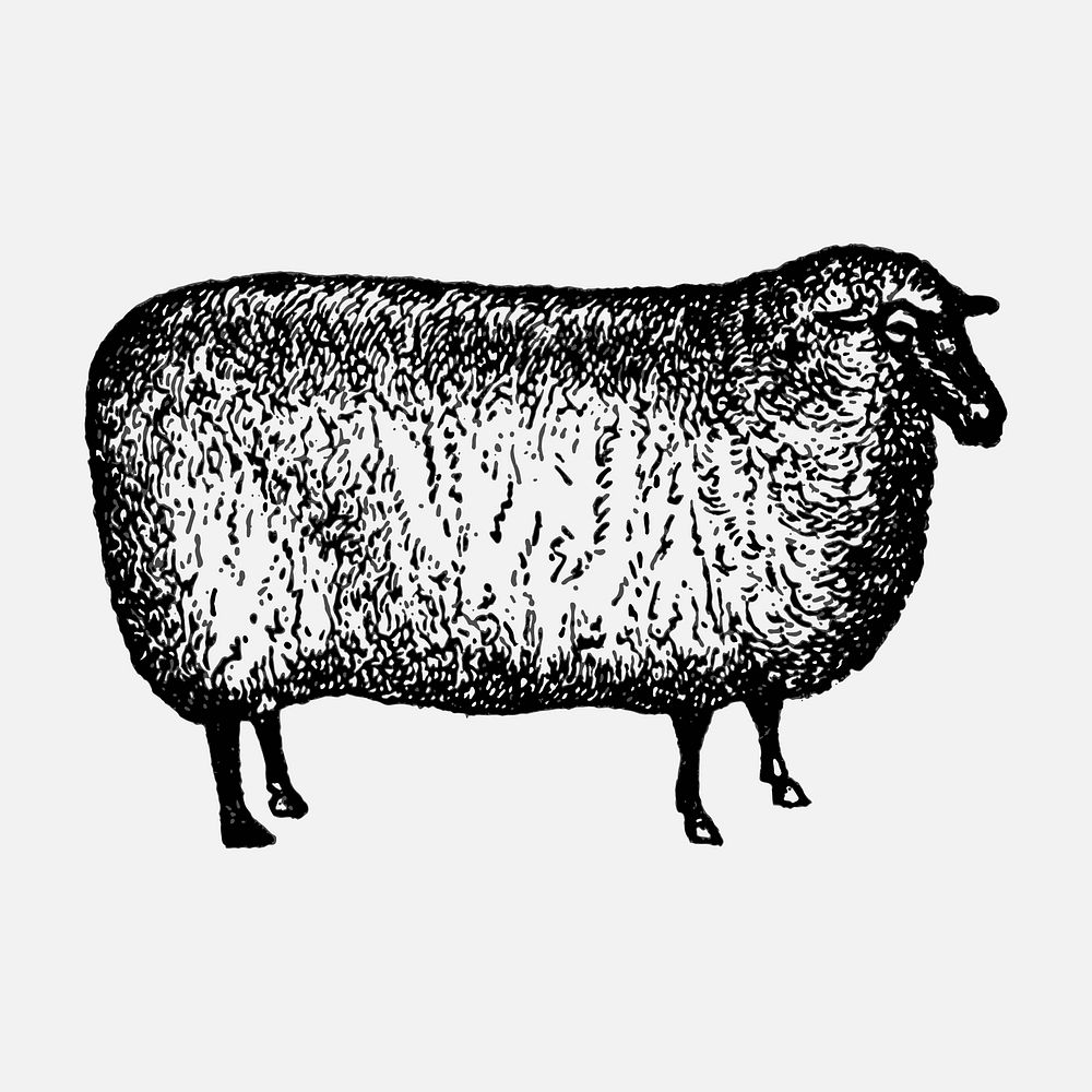 Sheep collage element, black ink | Premium Vector Illustration - rawpixel