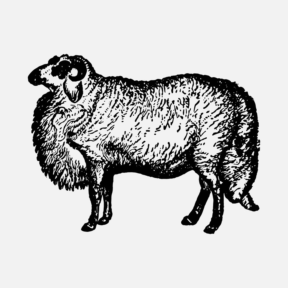 Sheep collage element, black ink | Premium Vector Illustration - rawpixel