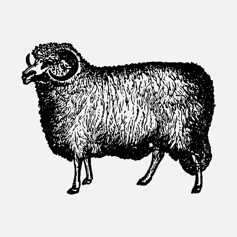 Sheep collage element, black ink | Premium Vector Illustration - rawpixel