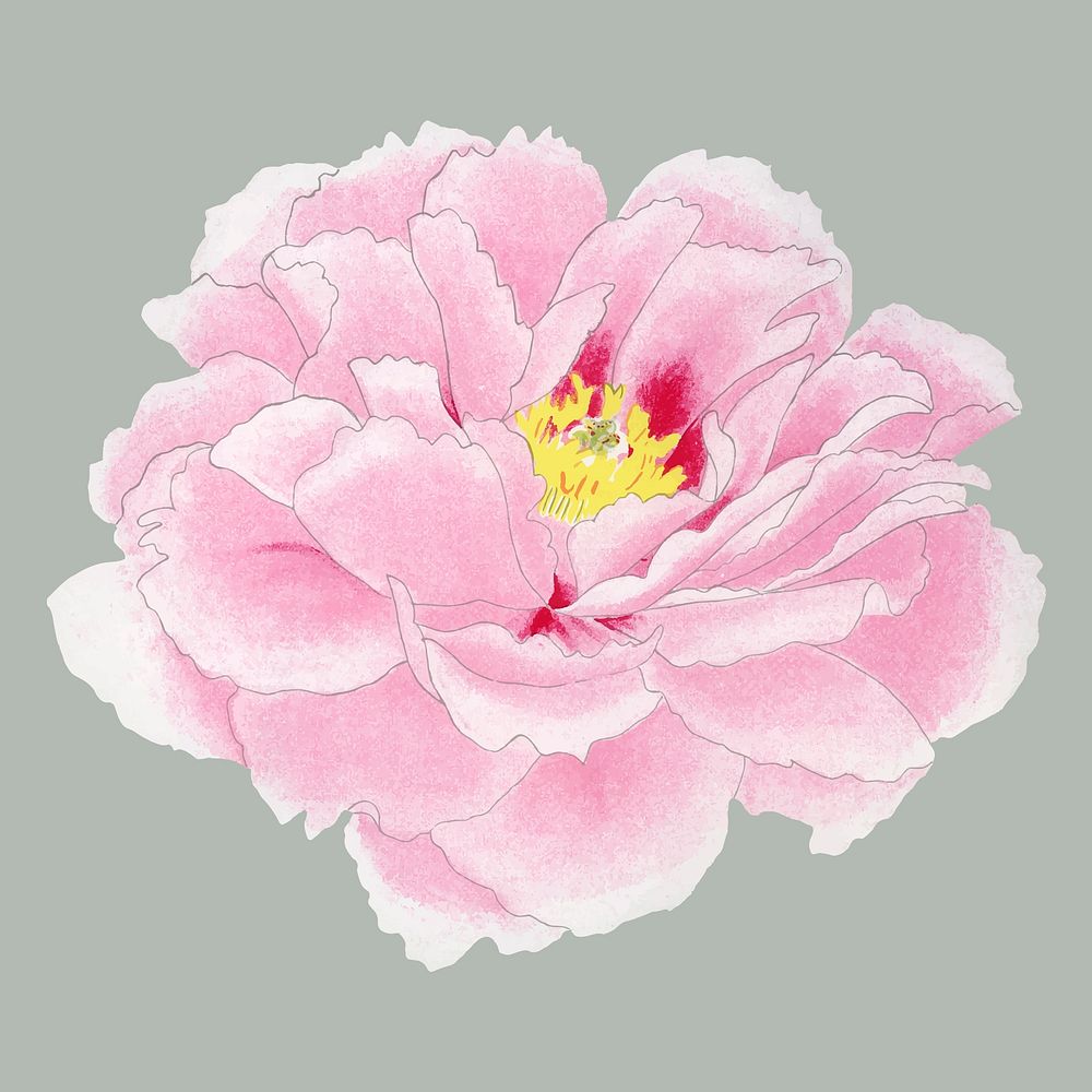 Pink peony sticker, Japanese botanical | Premium Vector Illustration ...