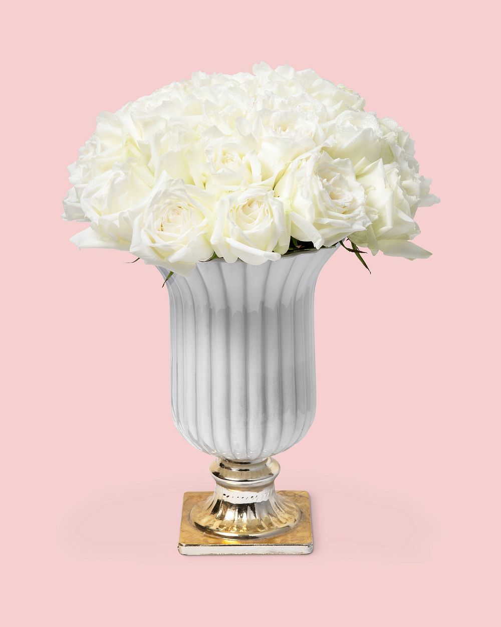 Fresh white roses ceramic vase | Free Photo - rawpixel