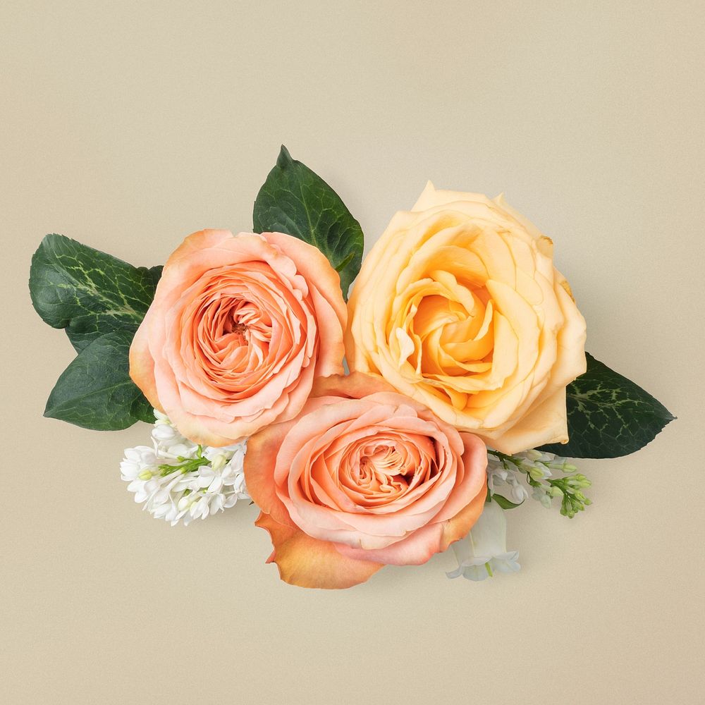 Pink and yellow rose bouquet | Free Photo - rawpixel