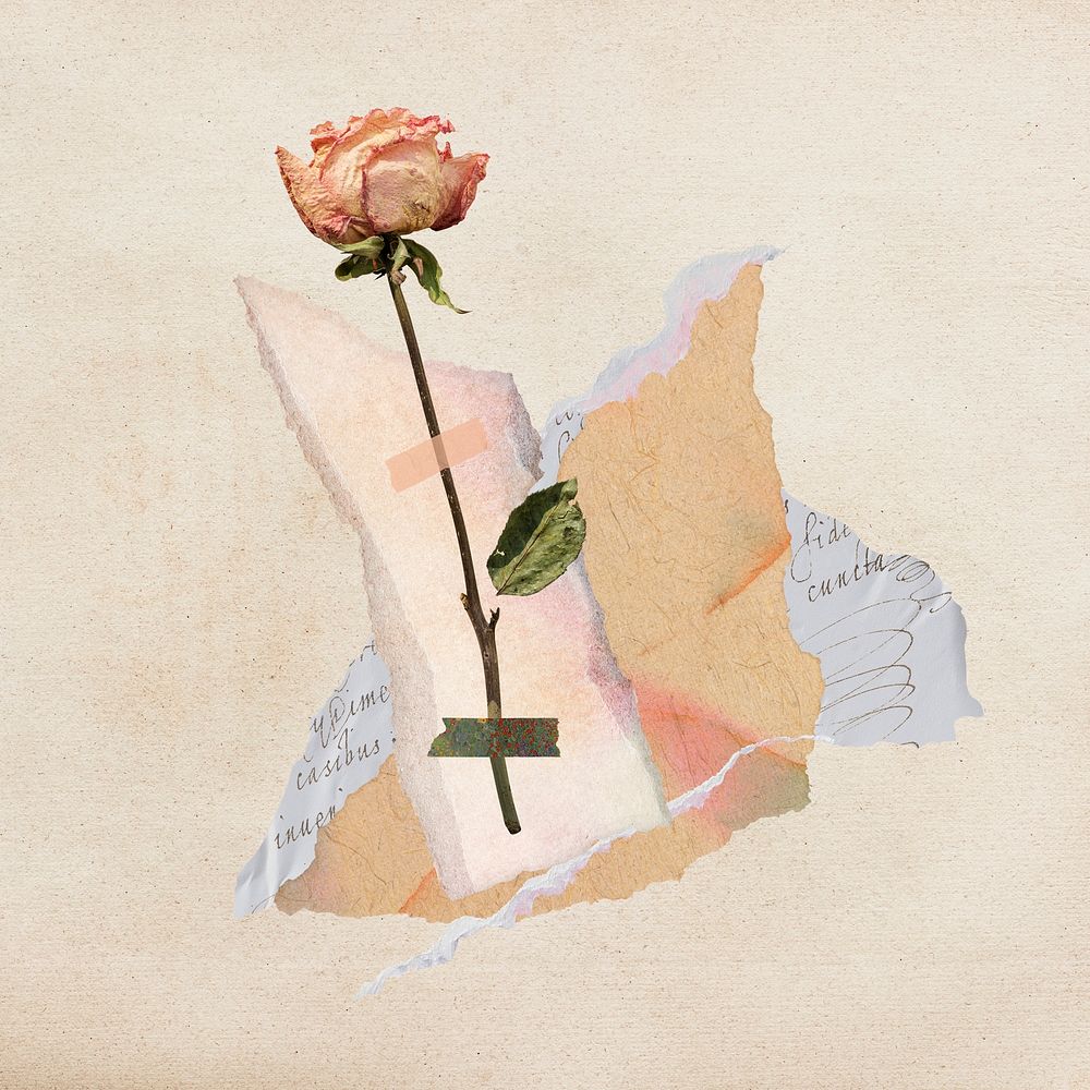 Dried rose flower collage, Autumn | Premium Photo - rawpixel