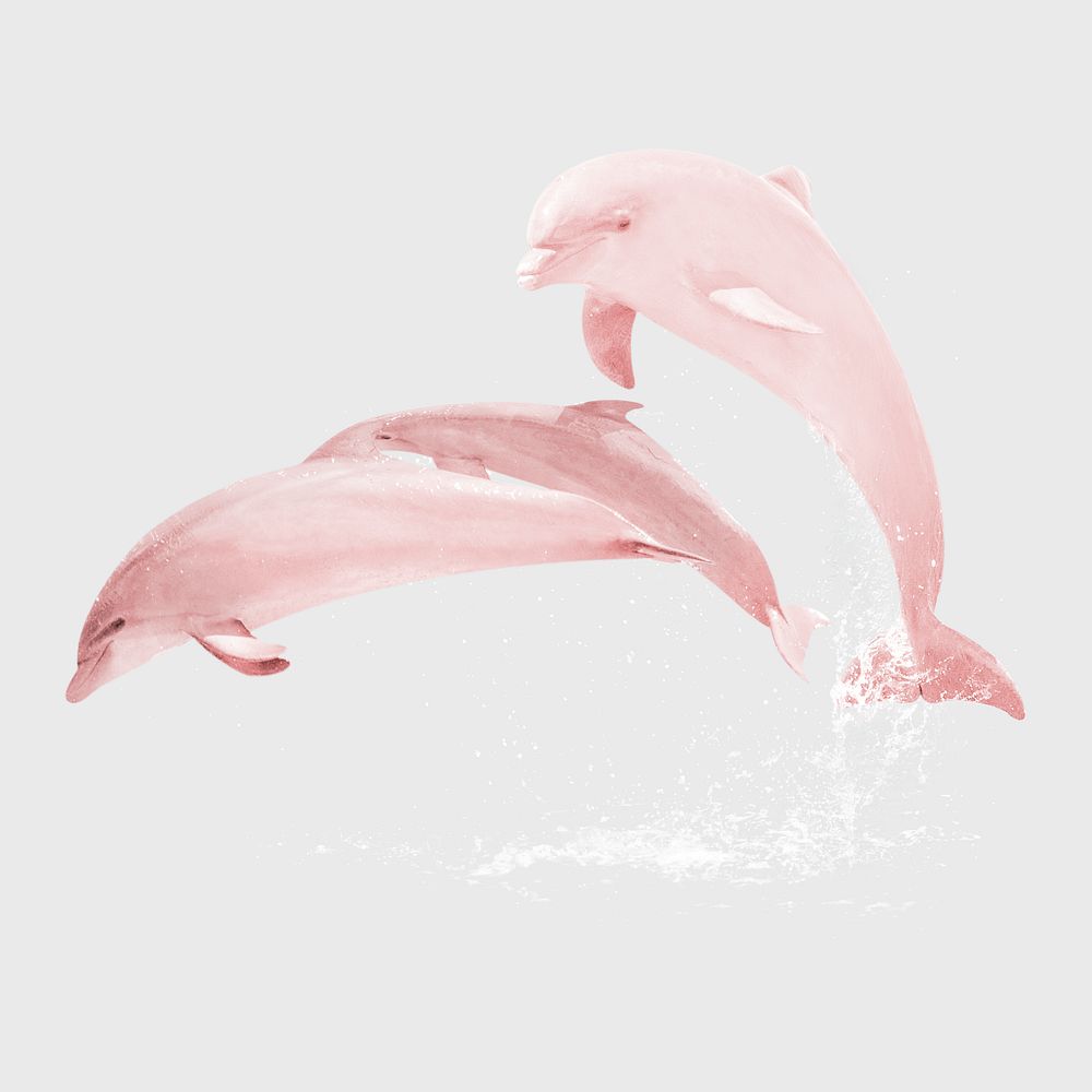 Pink dolphins sticker, sea animal | Premium PSD - rawpixel