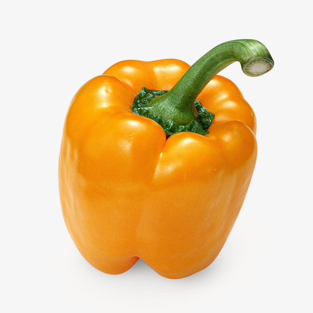 Bell pepper vegetable, isolated image | Free Photo - rawpixel