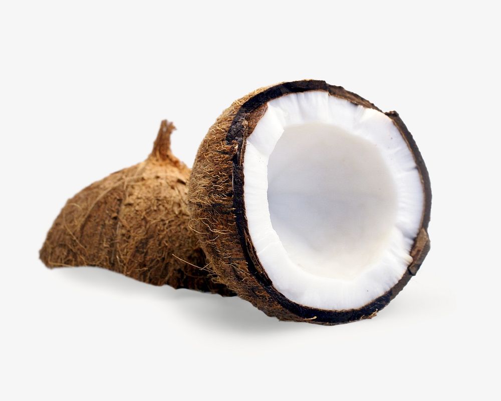 Coconut tropical fruit, isolated image | Free Photo - rawpixel