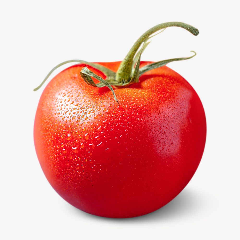 Tomato image on white | Free Photo - rawpixel