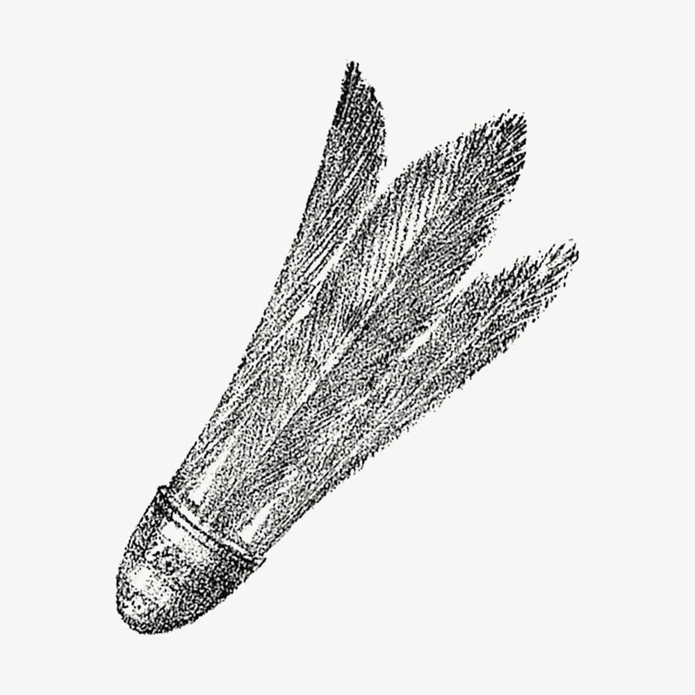 Badminton shuttlecock drawing isolated design. | Premium Photo ...