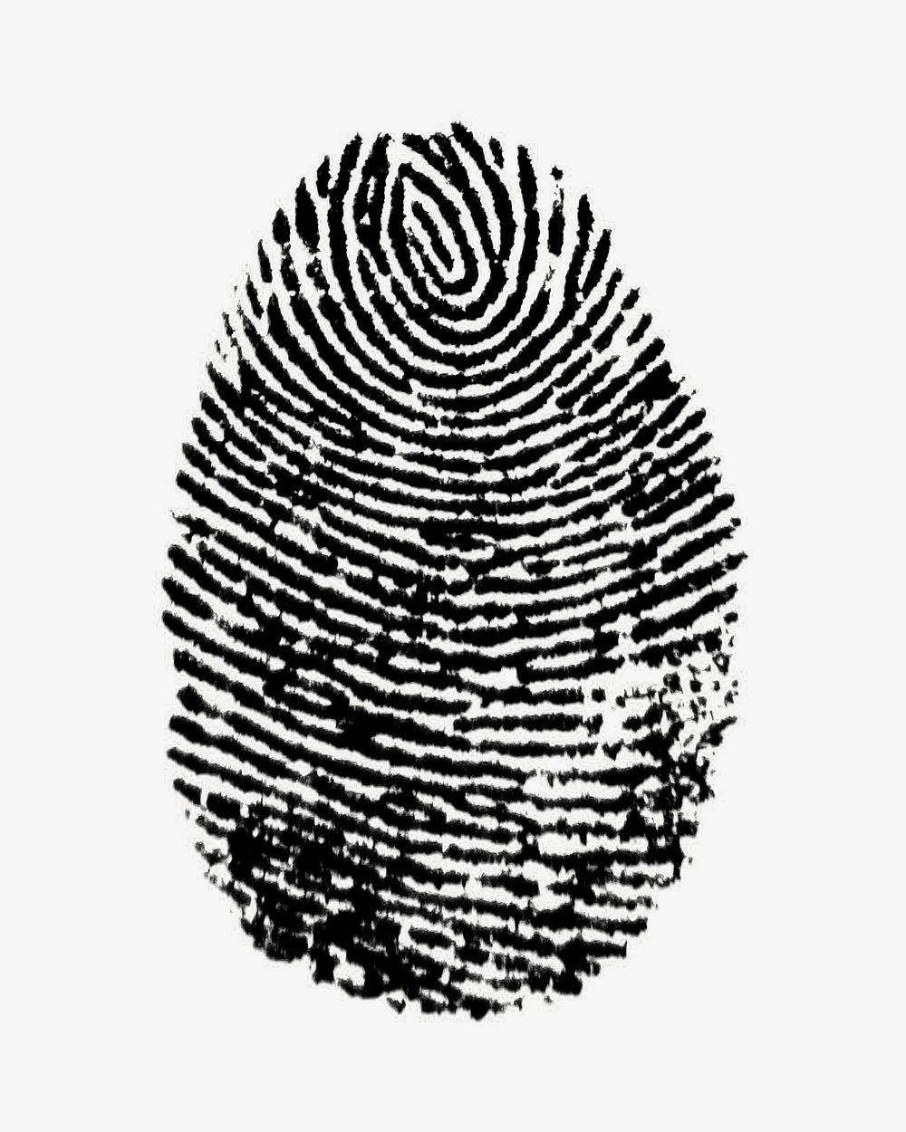 Fingerprint isolated image on white | Free Photo - rawpixel