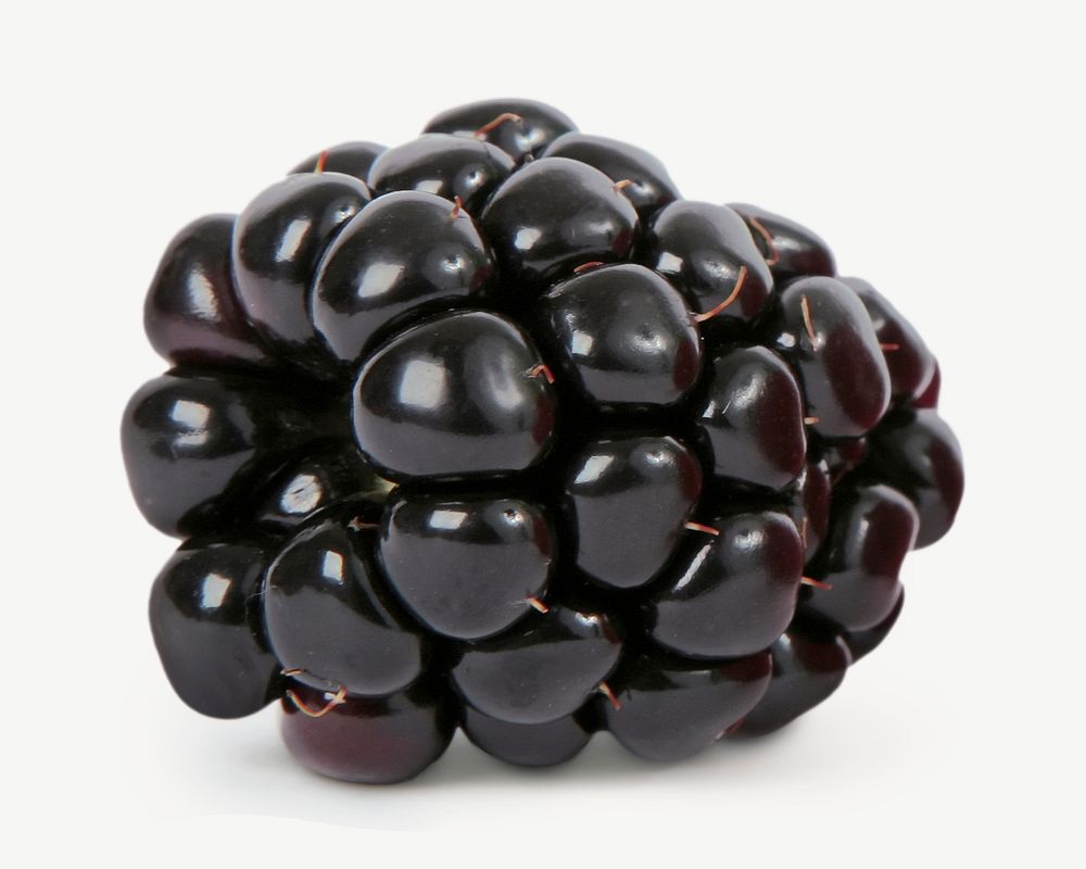 Black currant design element psd | Premium PSD - rawpixel