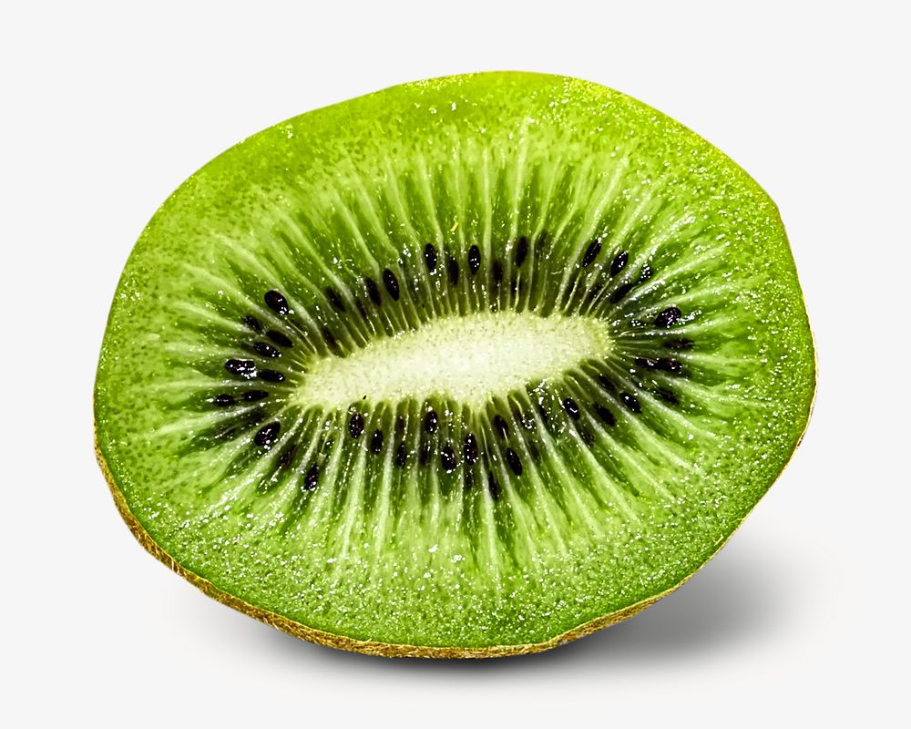 Kiwi isolated image on white | Free Photo - rawpixel