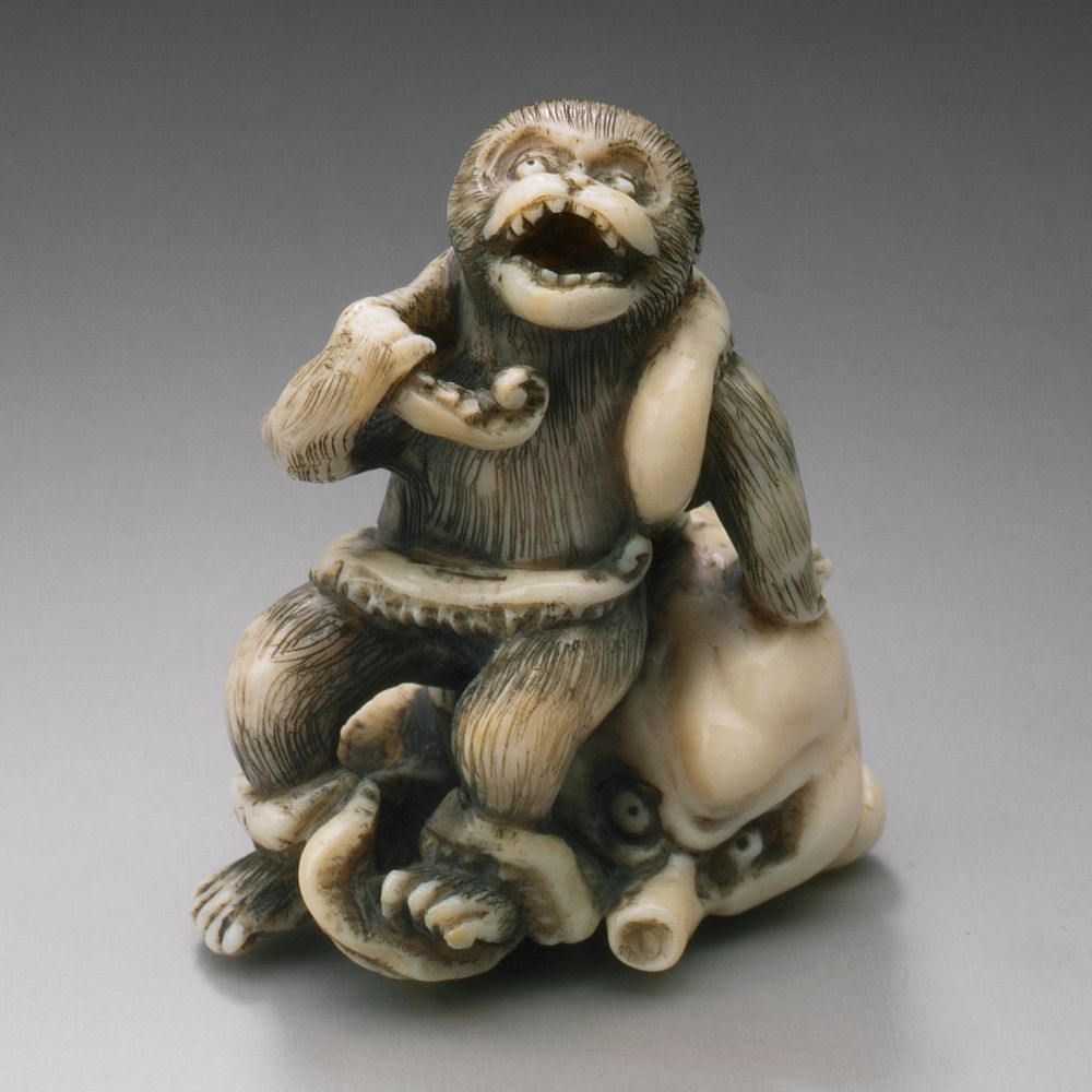 Battle Monkey and Octopus | Free Photo - rawpixel