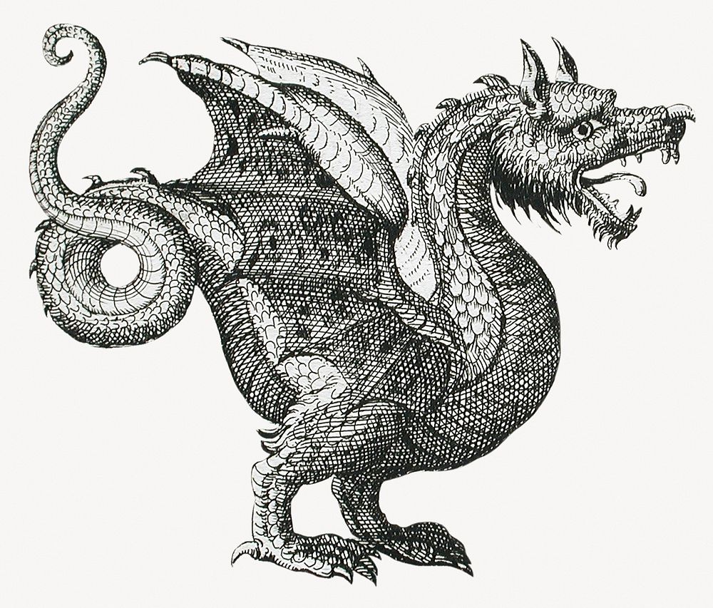 Chimerical Animal Chasing Other Animals | Free Photo Illustration ...