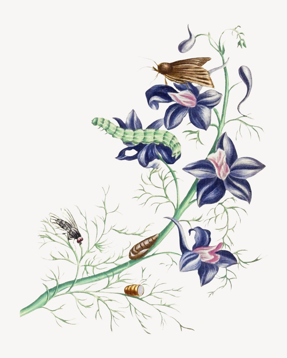 Caterpillars, butterflies and flowers illustration | Free PSD - rawpixel