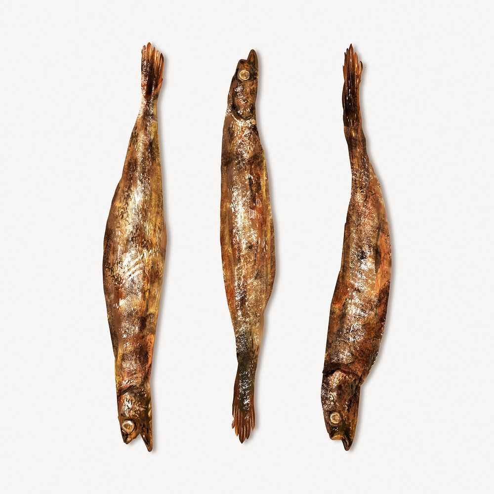 Grilled fish sticker, Japanese seafood | Premium PSD - rawpixel