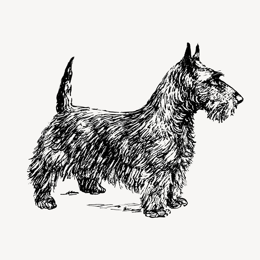 Scottish terrier, dog clipart vector. | Free Vector Illustration - rawpixel