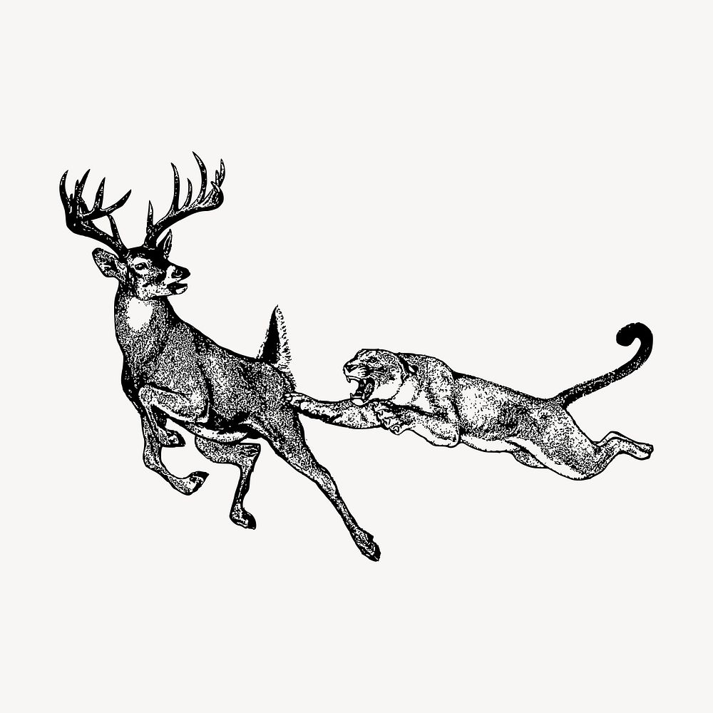 Prey clipart, vintage illustration vector. | Free Vector - rawpixel
