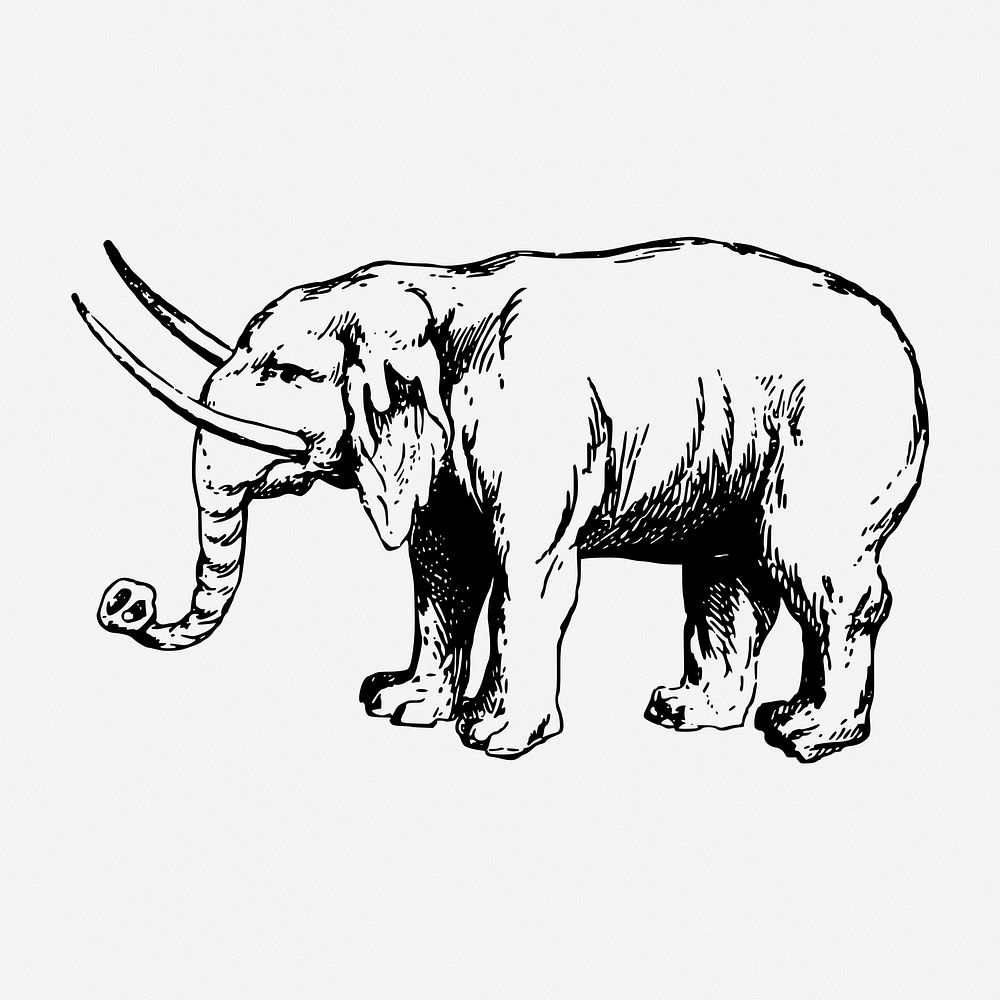 Elephant drawing, wild animal vintage | Free Photo - rawpixel