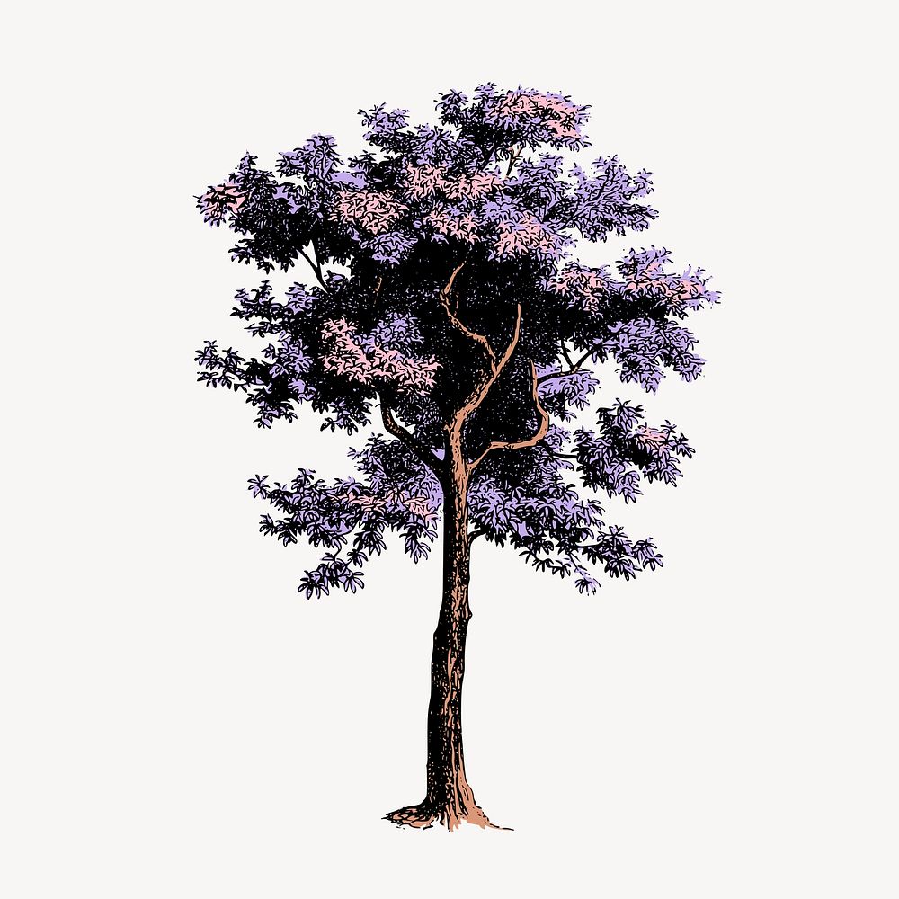 Purple tree clipart, botanical aesthetic, | Free Vector Illustration ...