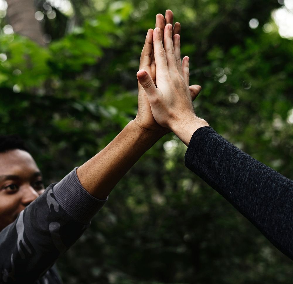 High five in the forest | Premium Photo - rawpixel