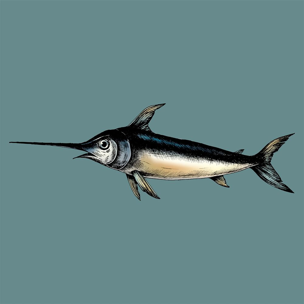 Hand drawn swordfish isolated | Premium Vector Illustration - rawpixel