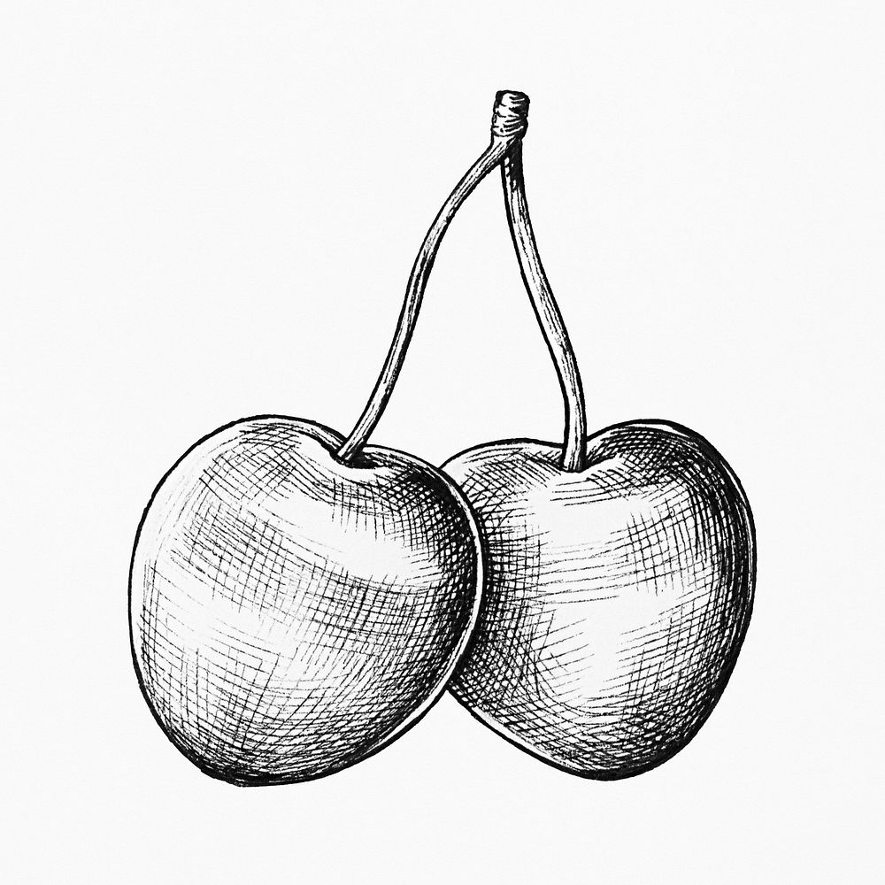 Two hand drawn fresh cherries | Premium PSD Illustration - rawpixel