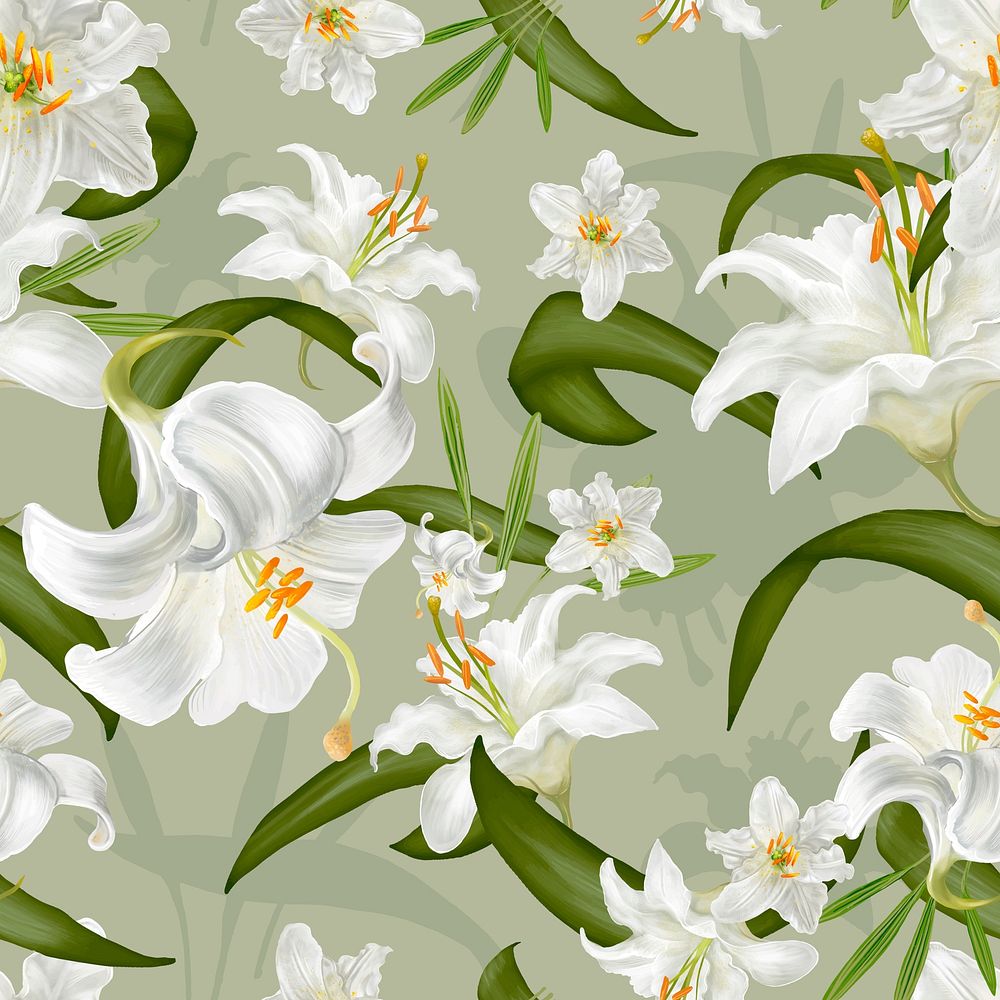 Illustration drawing of Lily flowers | Premium Vector - rawpixel