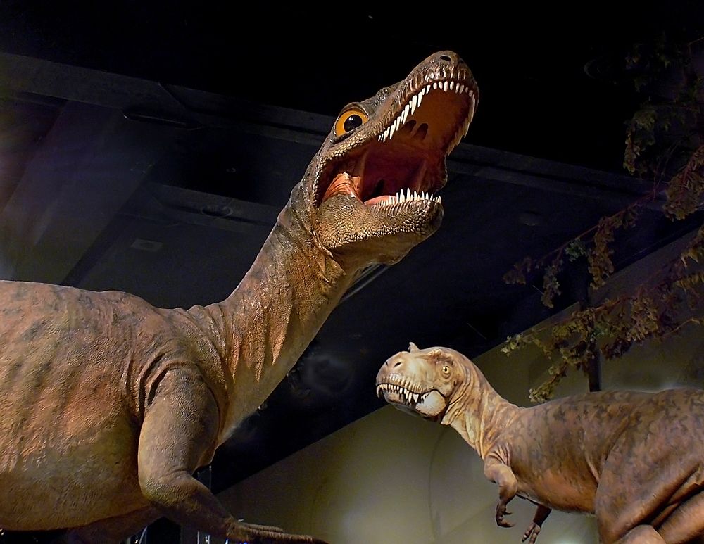 "T Rex" Canada's Dinosaur Museum. | Free Photo - rawpixel