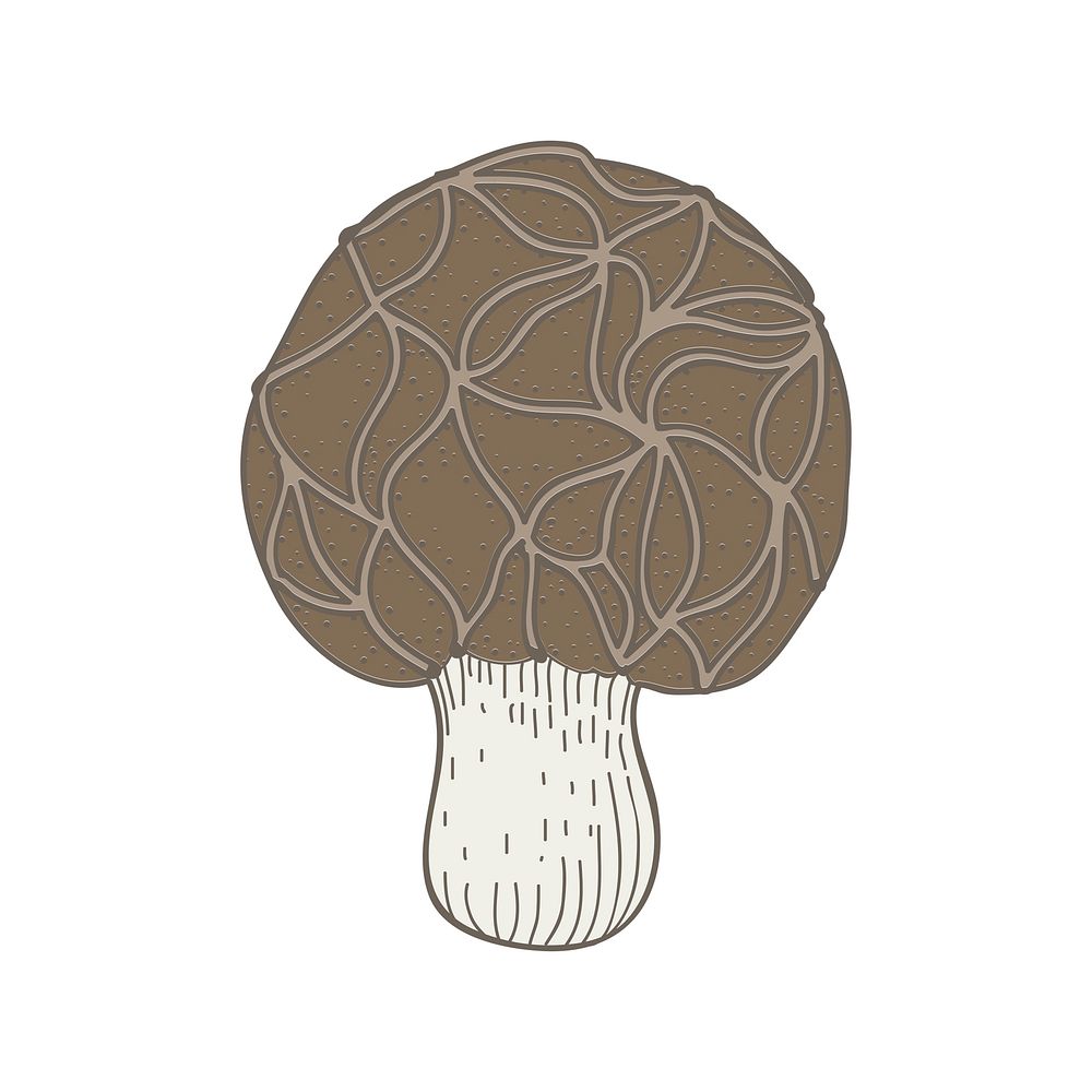 Vector of mushroom | Free Photo Illustration - rawpixel