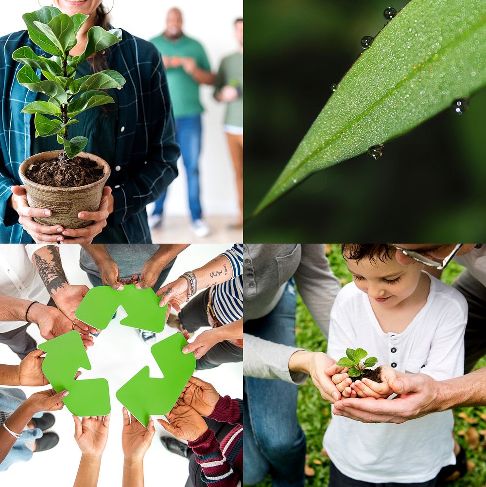 Collection planting more trees environmental | Premium Photo - rawpixel