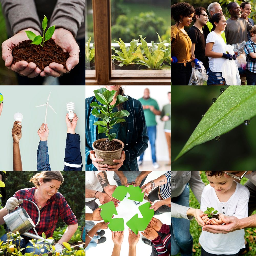 Collection of planting more trees | Premium Photo - rawpixel