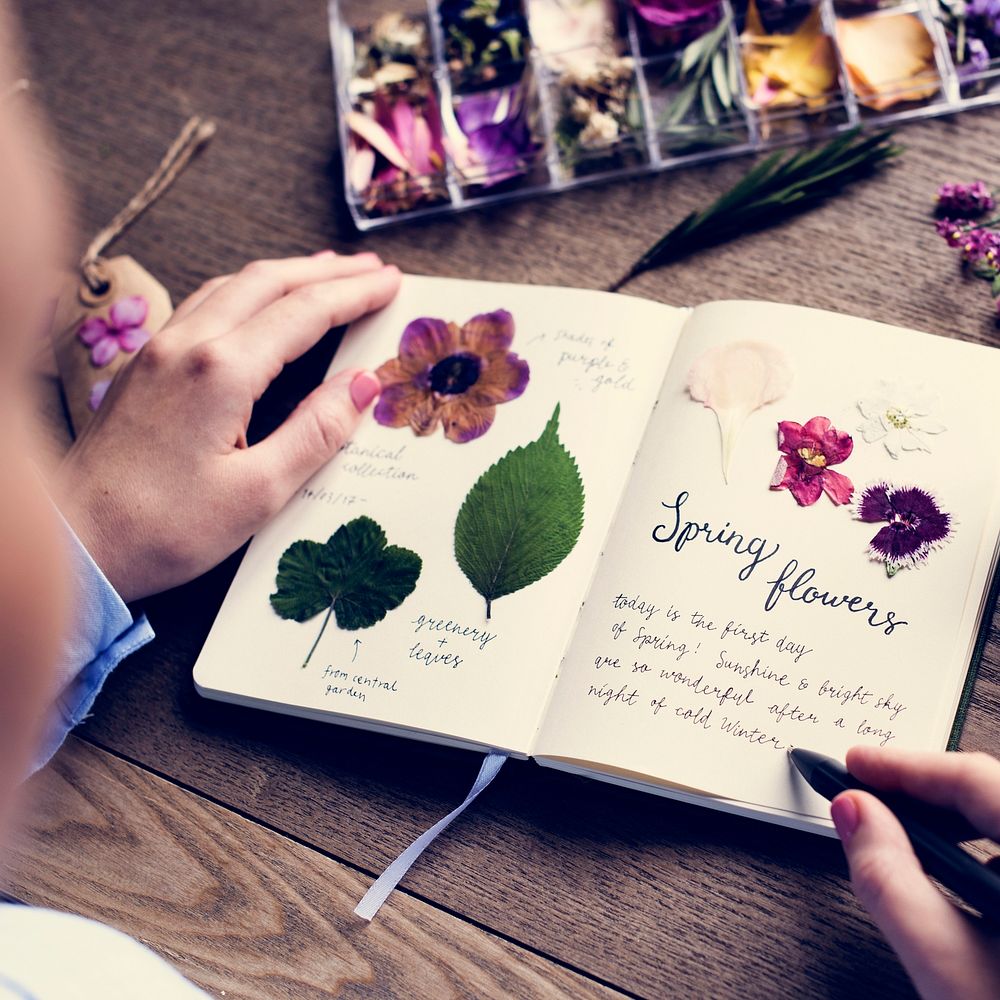 Hands Writing Detail Dried Flowers | Premium Photo - rawpixel