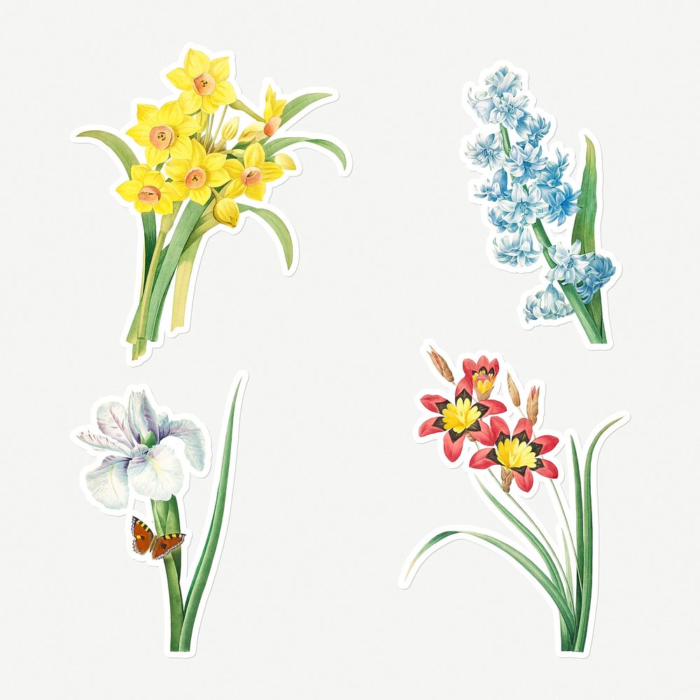 Blooming flower sticker design element | Premium PSD - rawpixel
