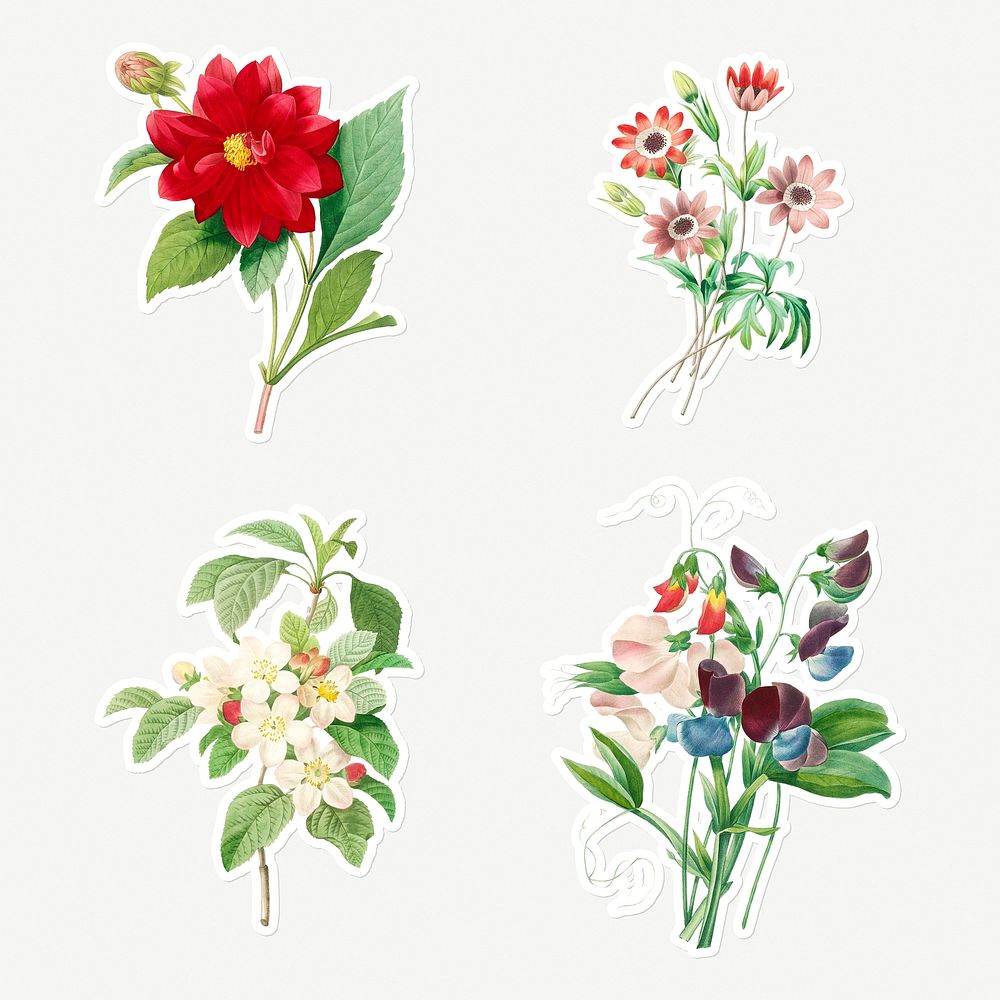 Flower sticker design resource set | Premium PSD - rawpixel