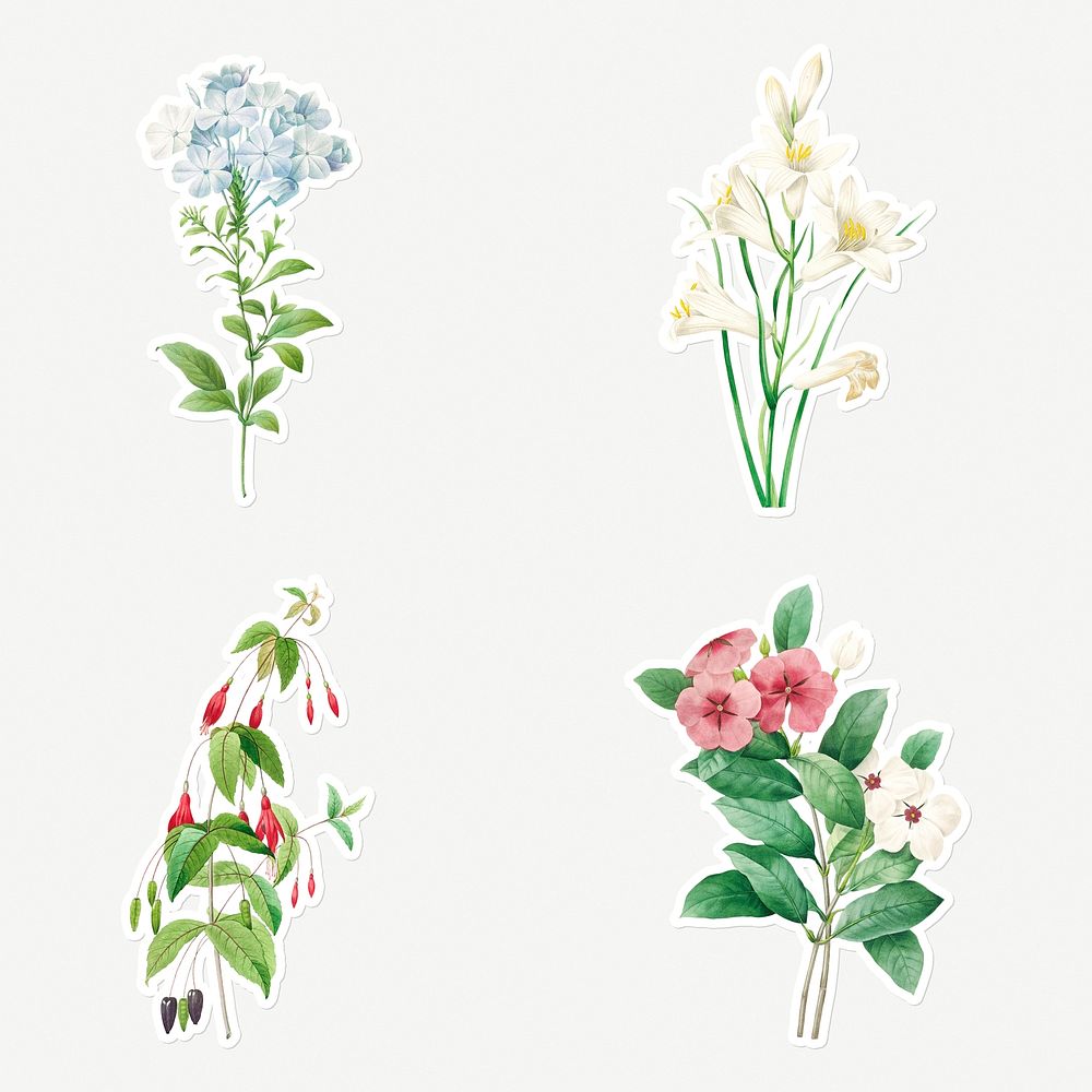 Beautiful flower sticker design resource | Premium PSD - rawpixel