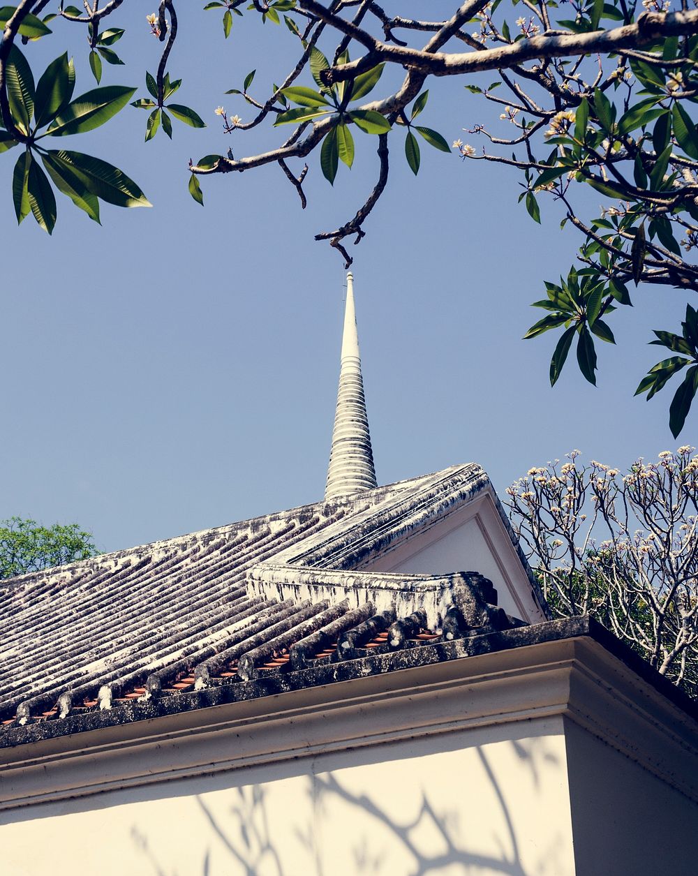 Church Trees Leaf Branches Nature | Free Photo - rawpixel