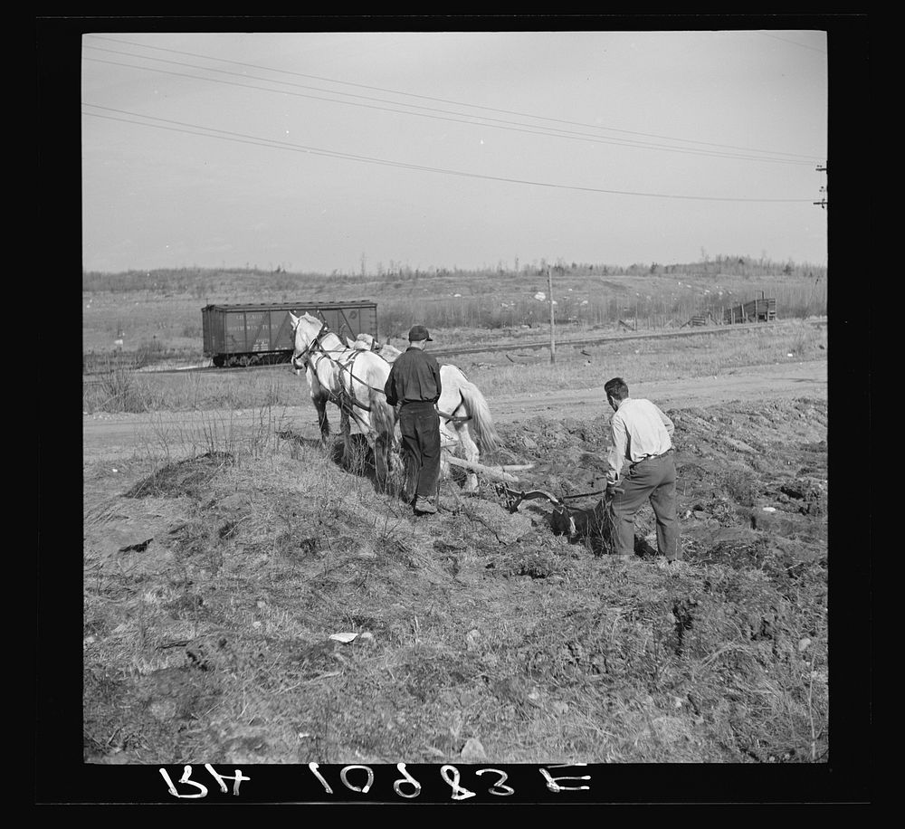 Plowing cut-over land Tipler, Wisconsin | Free Photo - rawpixel