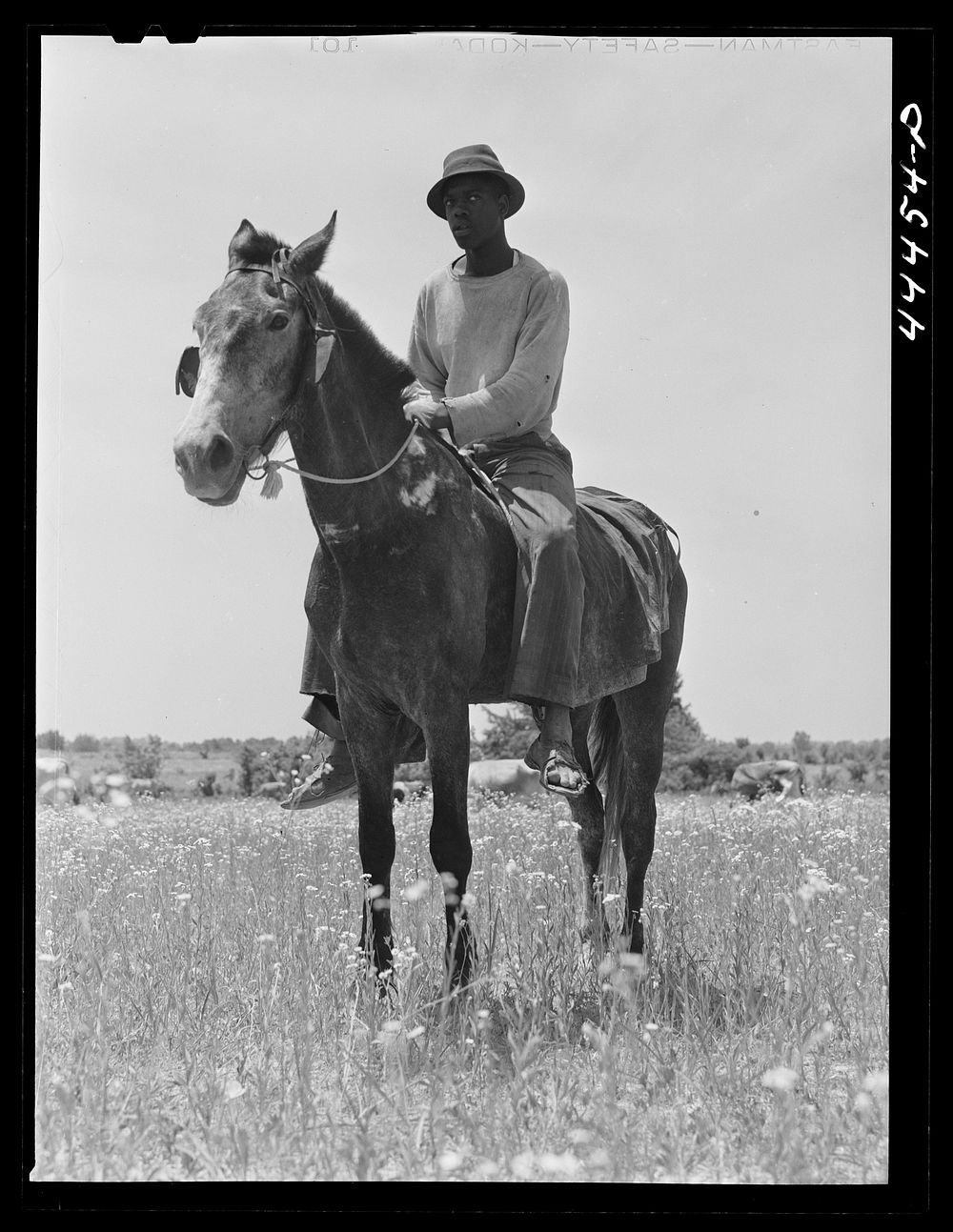 cowhand Black Prairie region. Hale | Free Photo - rawpixel