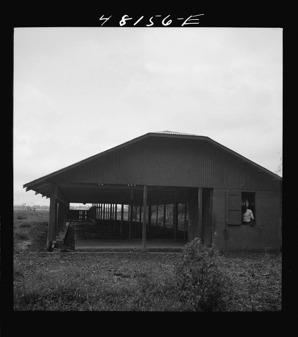 Santurce, Puerto Rico (vicinity). barn | Free Photo - rawpixel